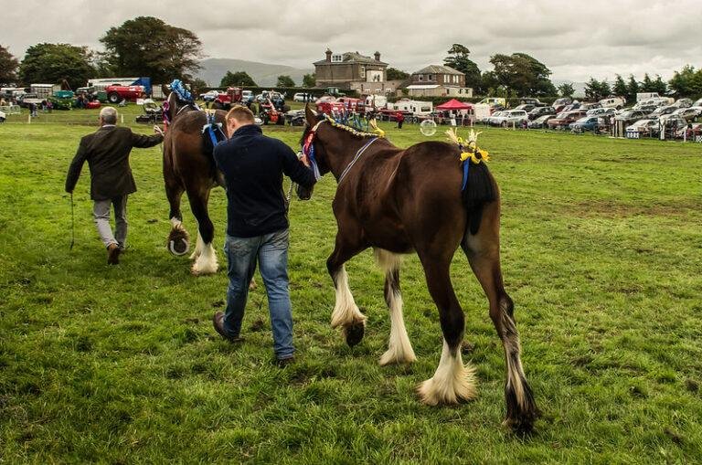 Gosforth, Cumbria | A Scenic Retreat In The Western Lakes