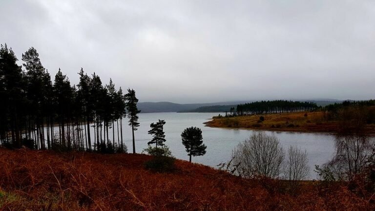 Exploring Swarland: A Hidden Gem In Northumberland