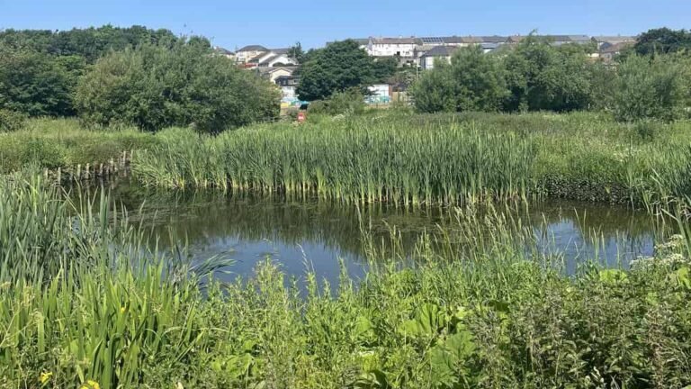 Exploring Workington In Cumbria