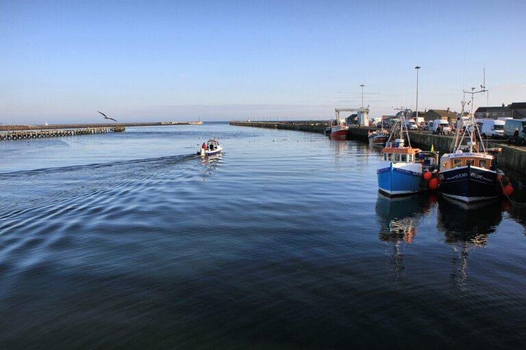 Amble: A Cheerful Coastal Town